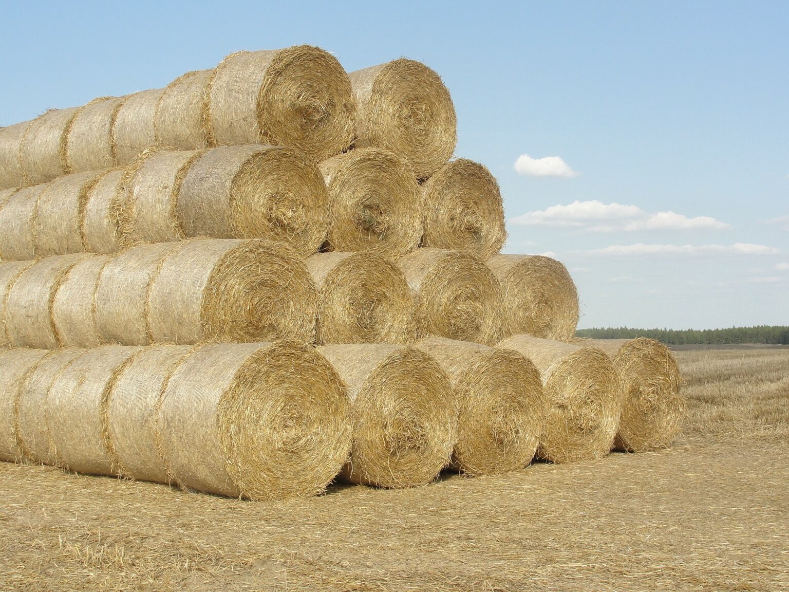 Skup słomy - DORAN GROUP