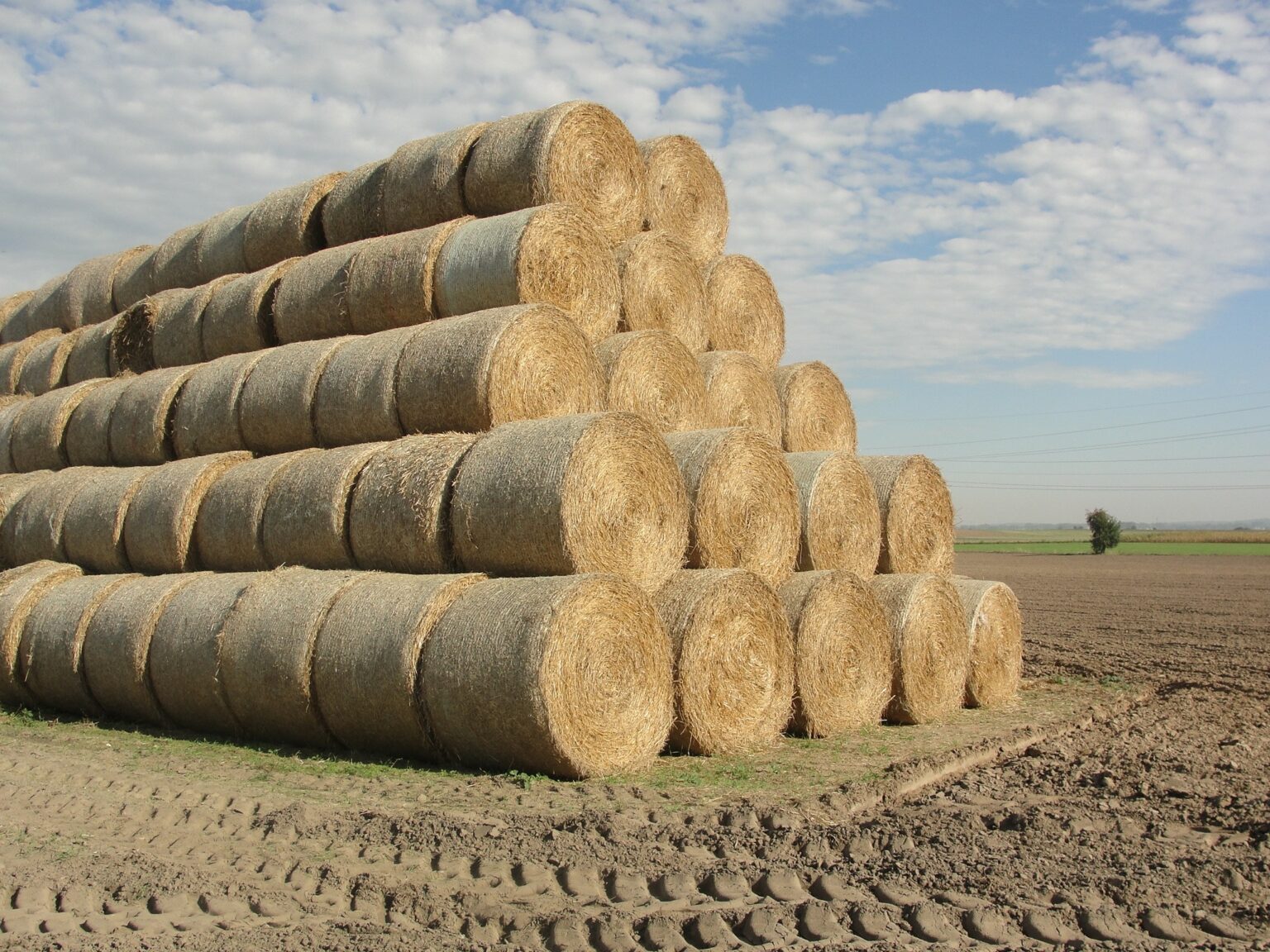 Skup słomy - DORAN GROUP